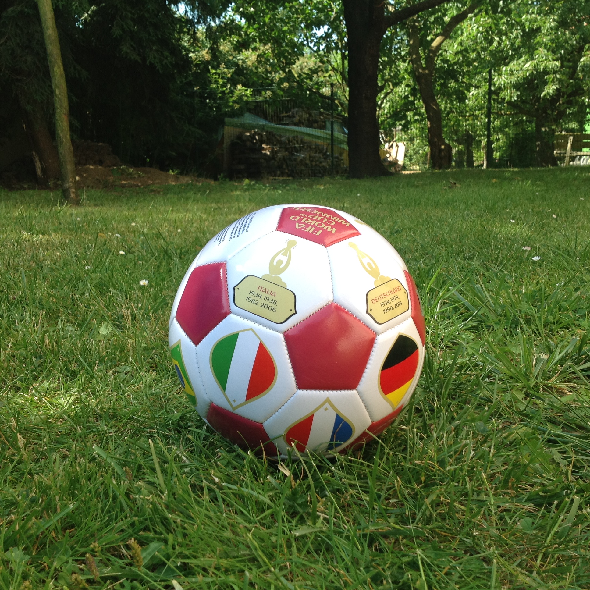 也來湊熱鬧 | My Little Kingdom