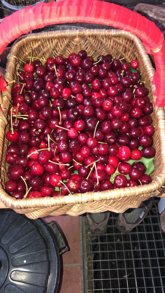 大富翁 | My Little Kingdom